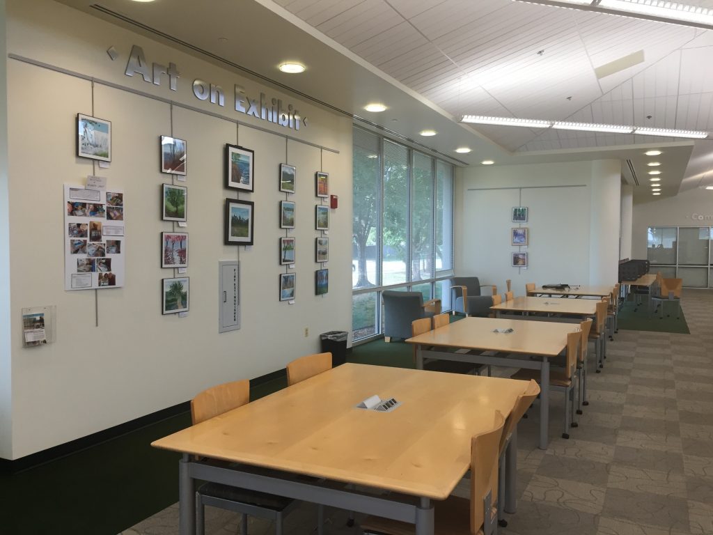 Client celebrates and displays his art in Loudoun County Government ...